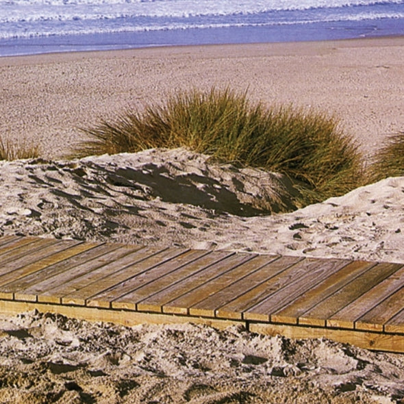 Beach Platform – Carmo Wood