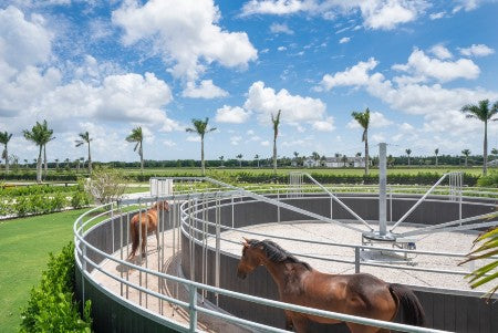 Guias Mecânicas – Carmo Wood